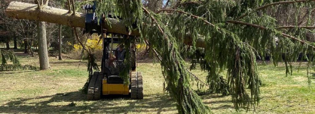 Lot Clearing / Brush Cutting - Jacks Tree Service & Landscaping